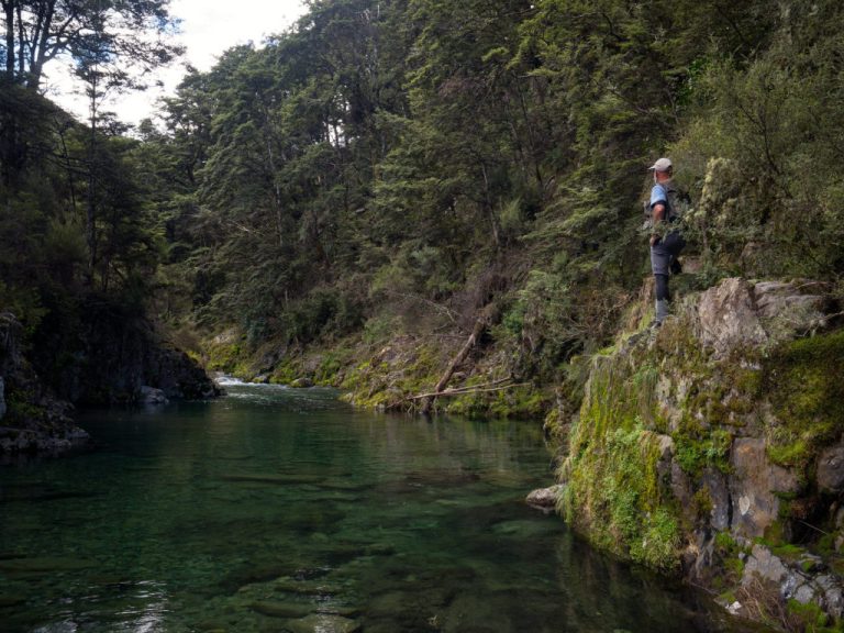 New Zealand's Trout Fishing: The Art of Stalking and Spotting Trout ...