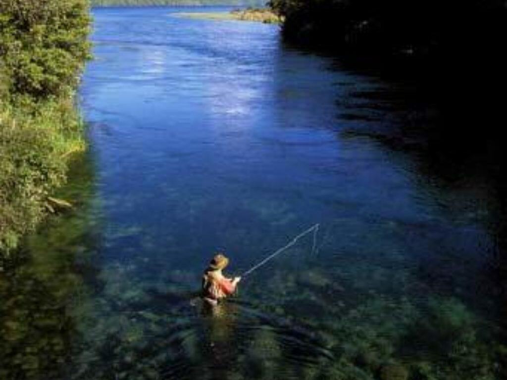 Fishing for Browns in Paradise - New Zealand's Lake Rotoroa - The Best ...