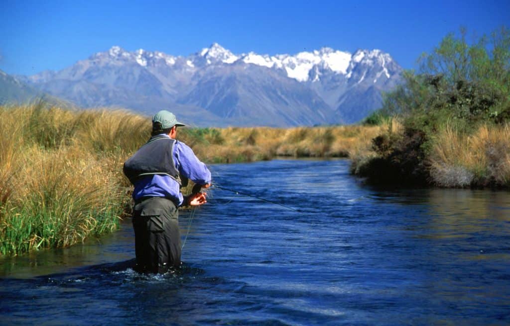 Discover New Zealand’s Native Freshwater Fish - The Best Of New Zealand ...