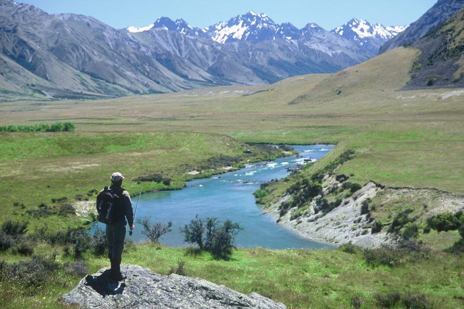 Top 10 Fish to Catch in New Zealand: - The Best Of New Zealand Fly Fishing
